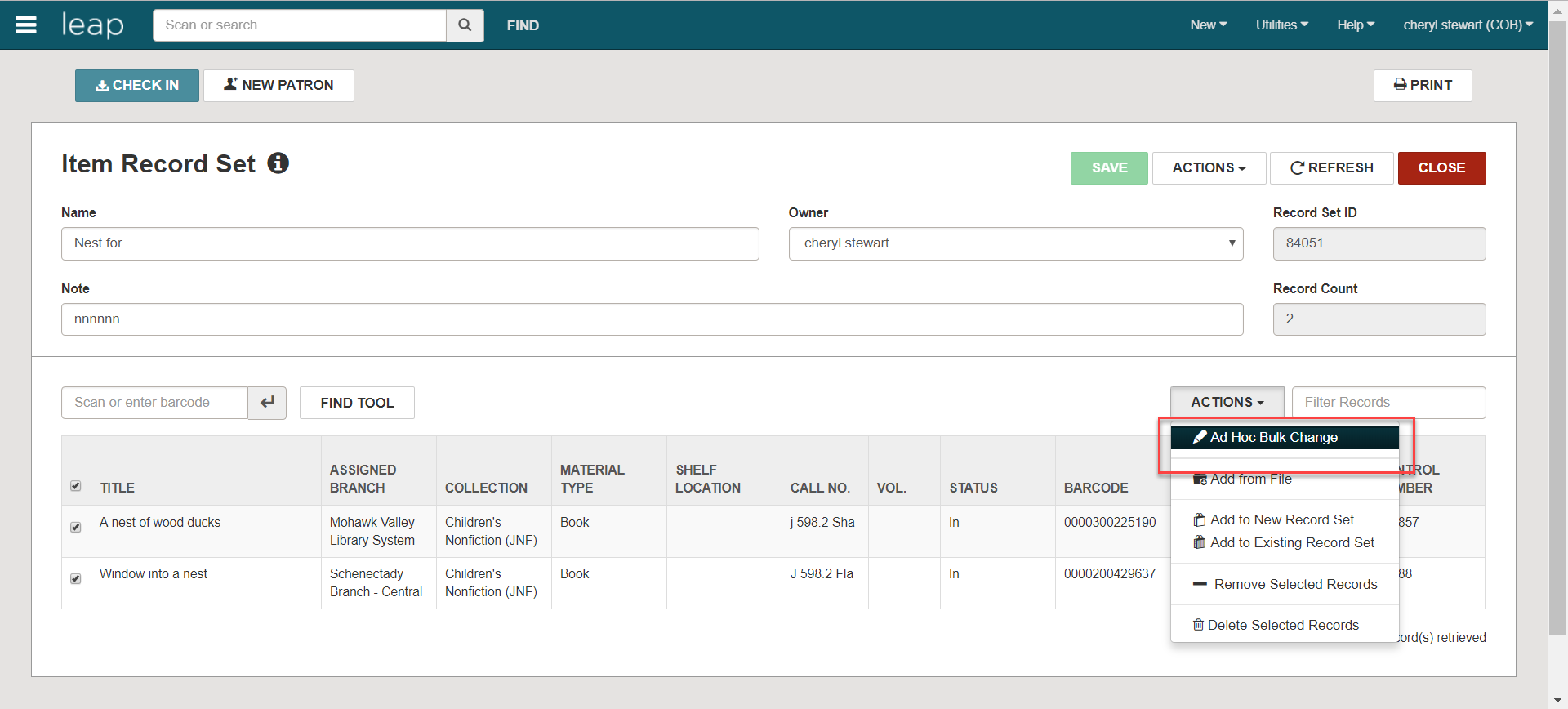 Bulk Change Item Records
