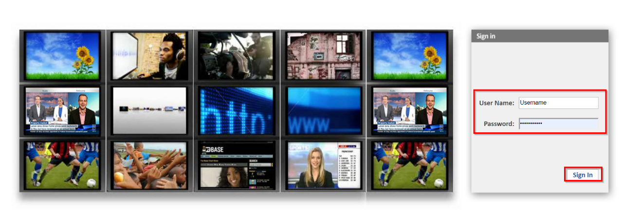 Access the CMS management console
